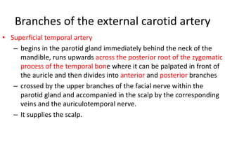 Vascular system in the head and neck | PPTX