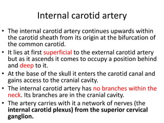 Vascular system in the head and neck | PPTX