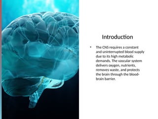 Vascular System of CNS.pptx The CNS requires a constant and ...