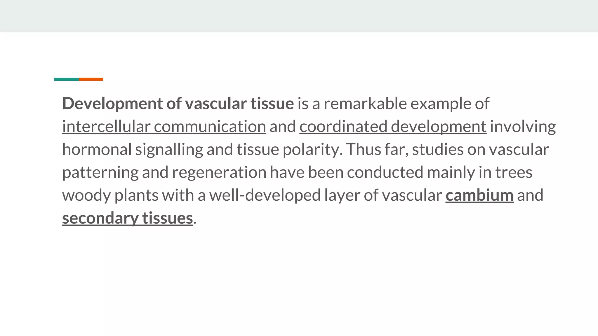 Vascular tissue | PPTX