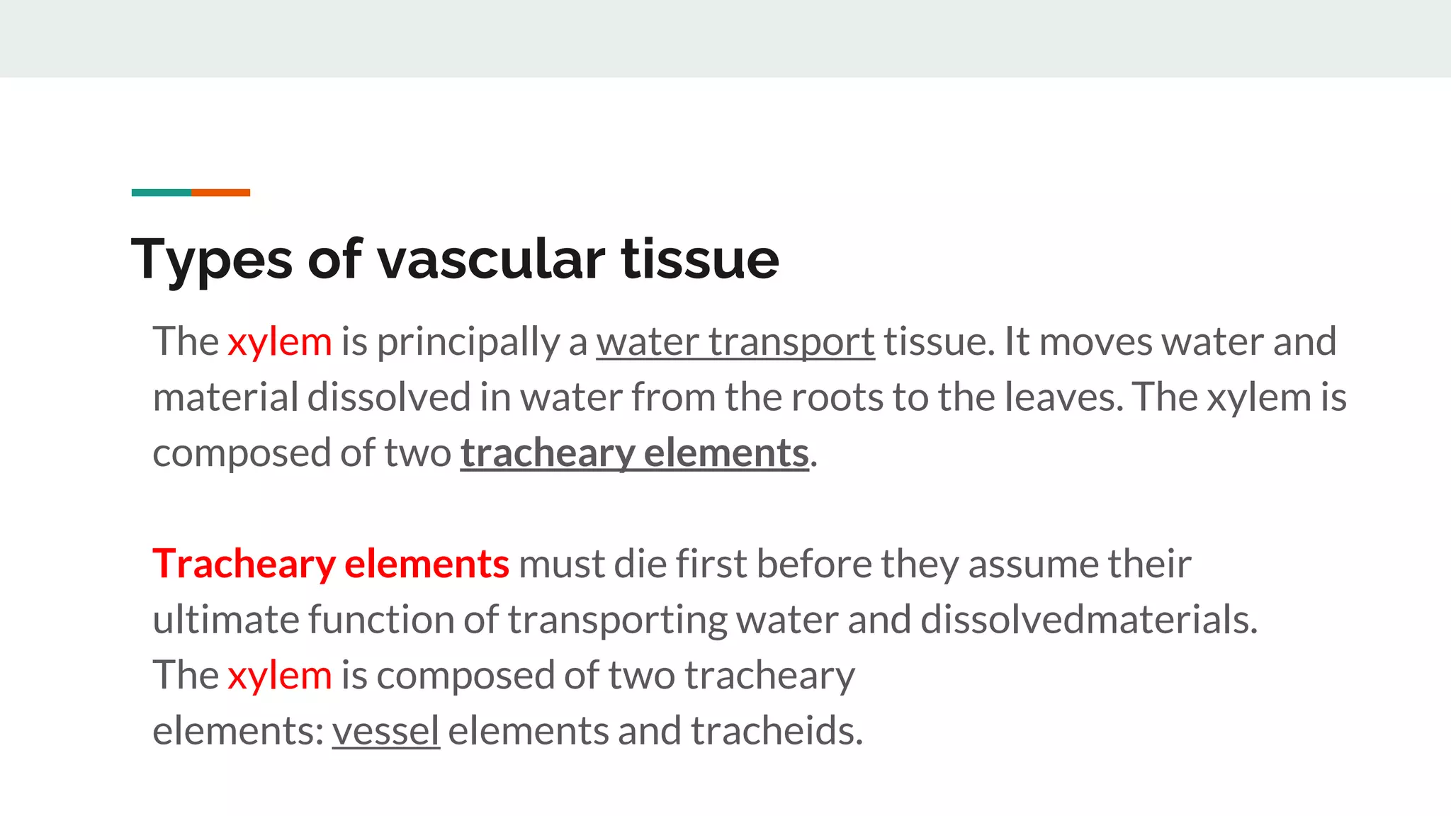 Vascular tissue | PPTX