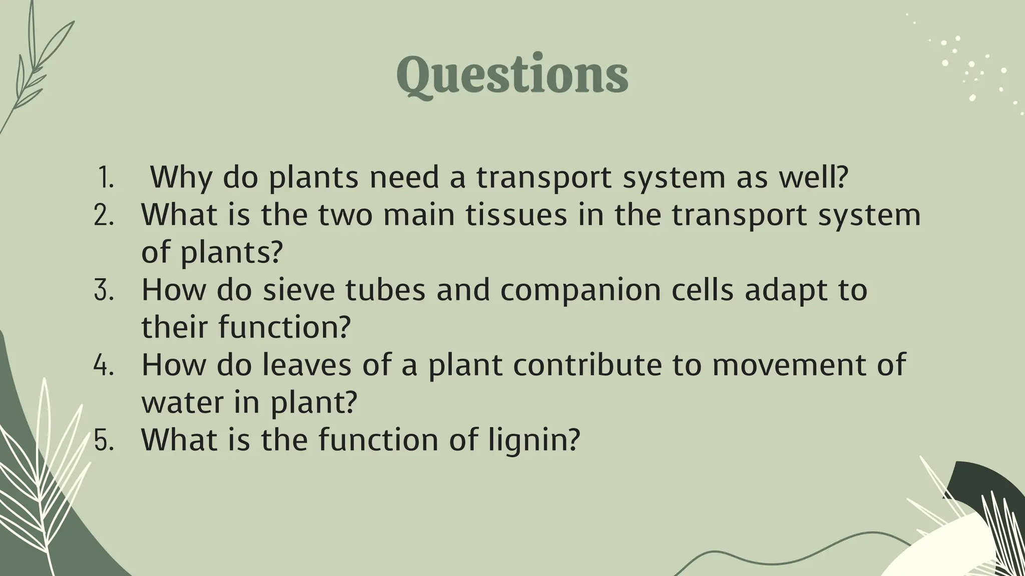 Vascular Tissues form 5 biology kssm notes | PPT