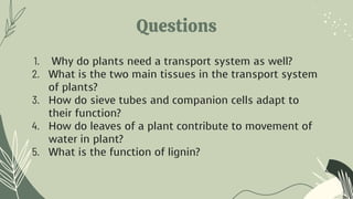 Vascular Tissues form 5 biology kssm notes | PPT