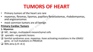 Vascular and Cardiac Tumors | PPTX