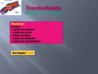 Vascular venoso periférico | PPTX