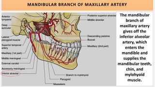 Vasculature and lymphatic drainage of Oral Cavity.pptx