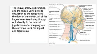 Vasculature and lymphatic drainage of Oral Cavity.pptx