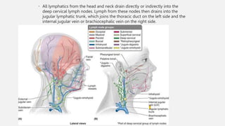 Vasculature and lymphatic drainage of Oral Cavity.pptx