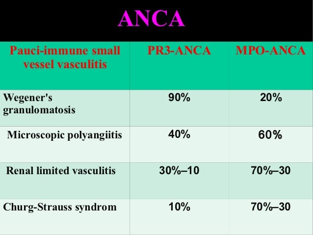 Vasculitides AND ANTI-GBM