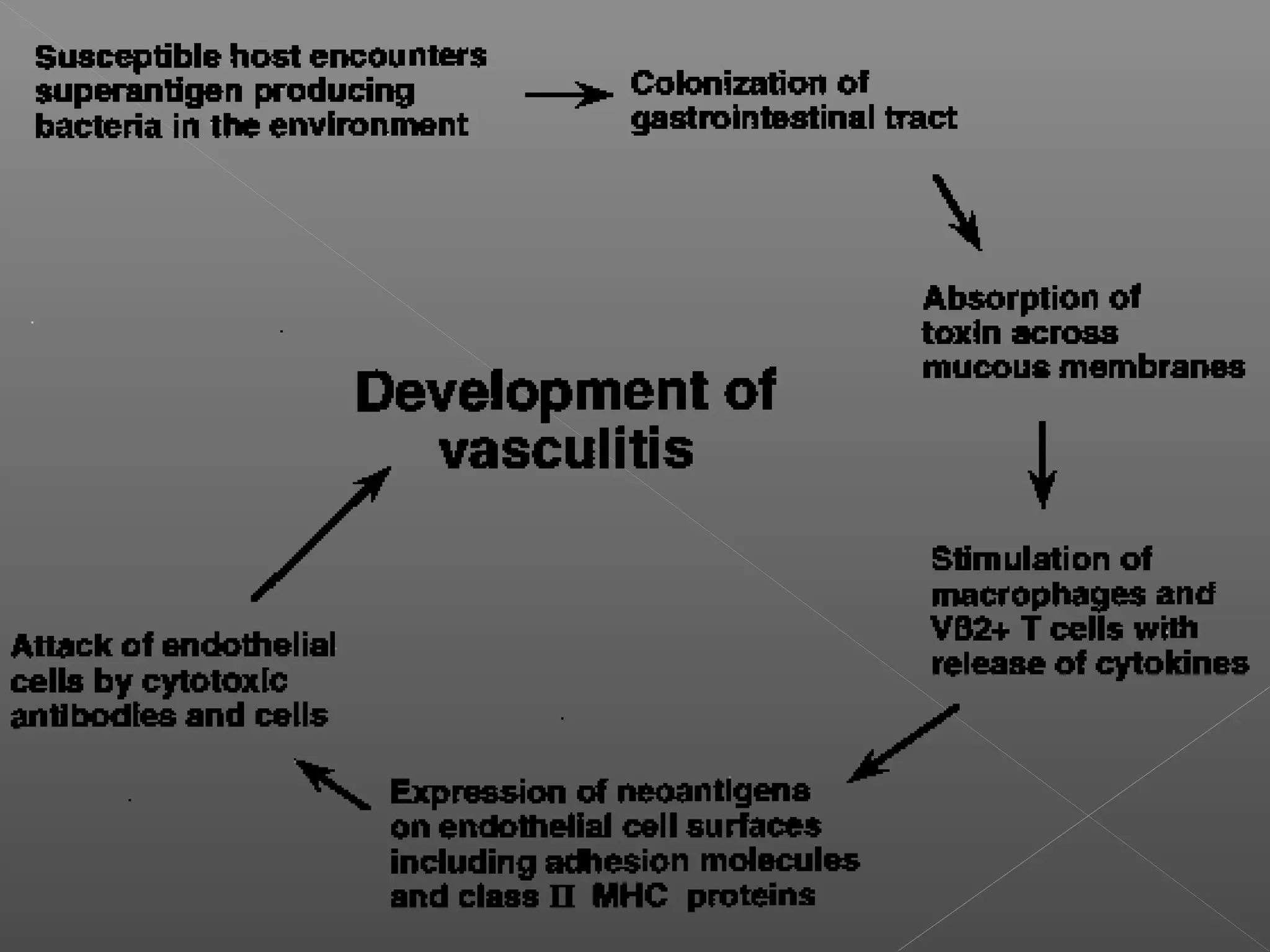 Vasculitis | PPT