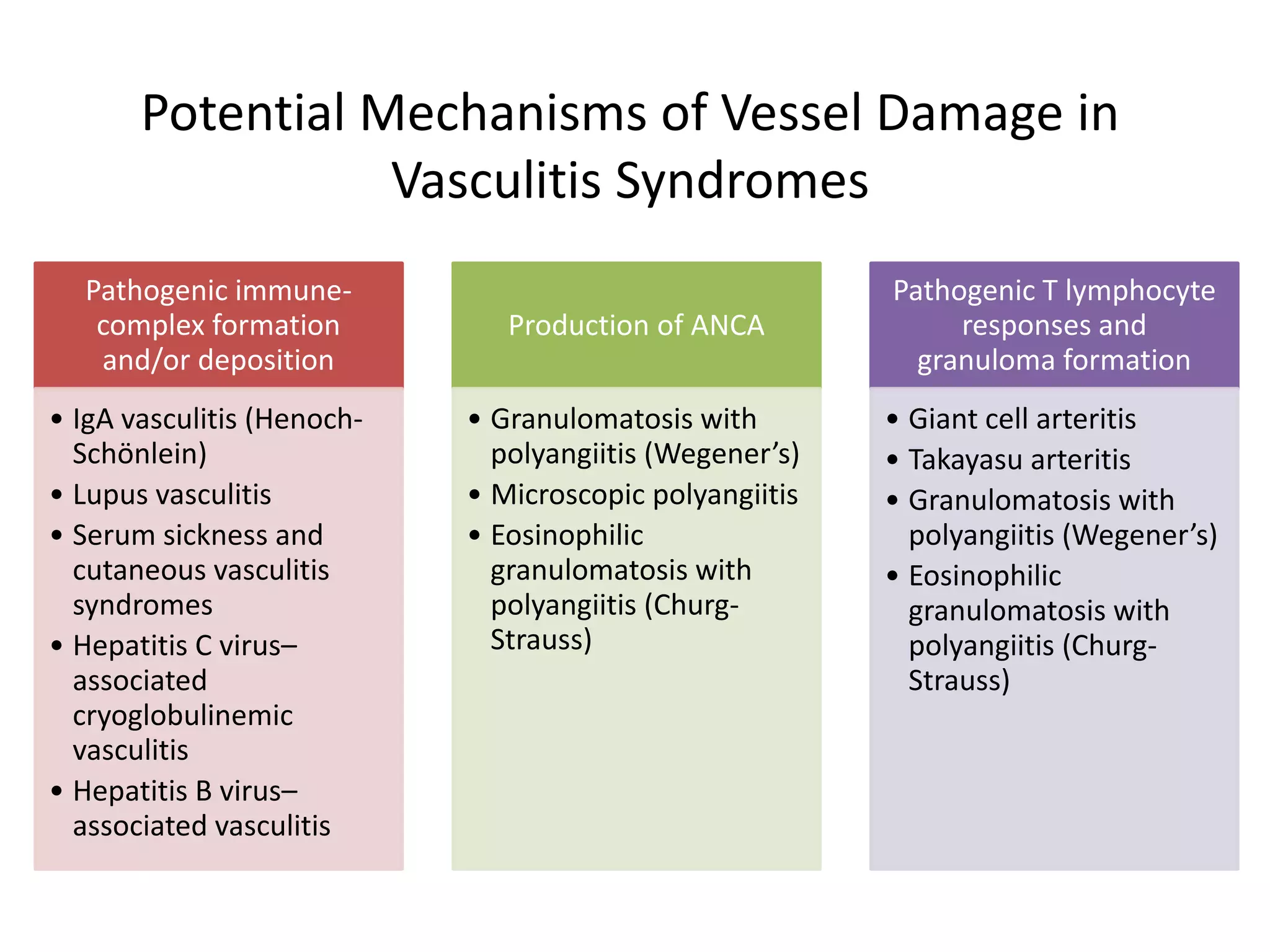 Vasculitis | PPTX