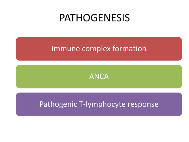 Vasculitis Ppt