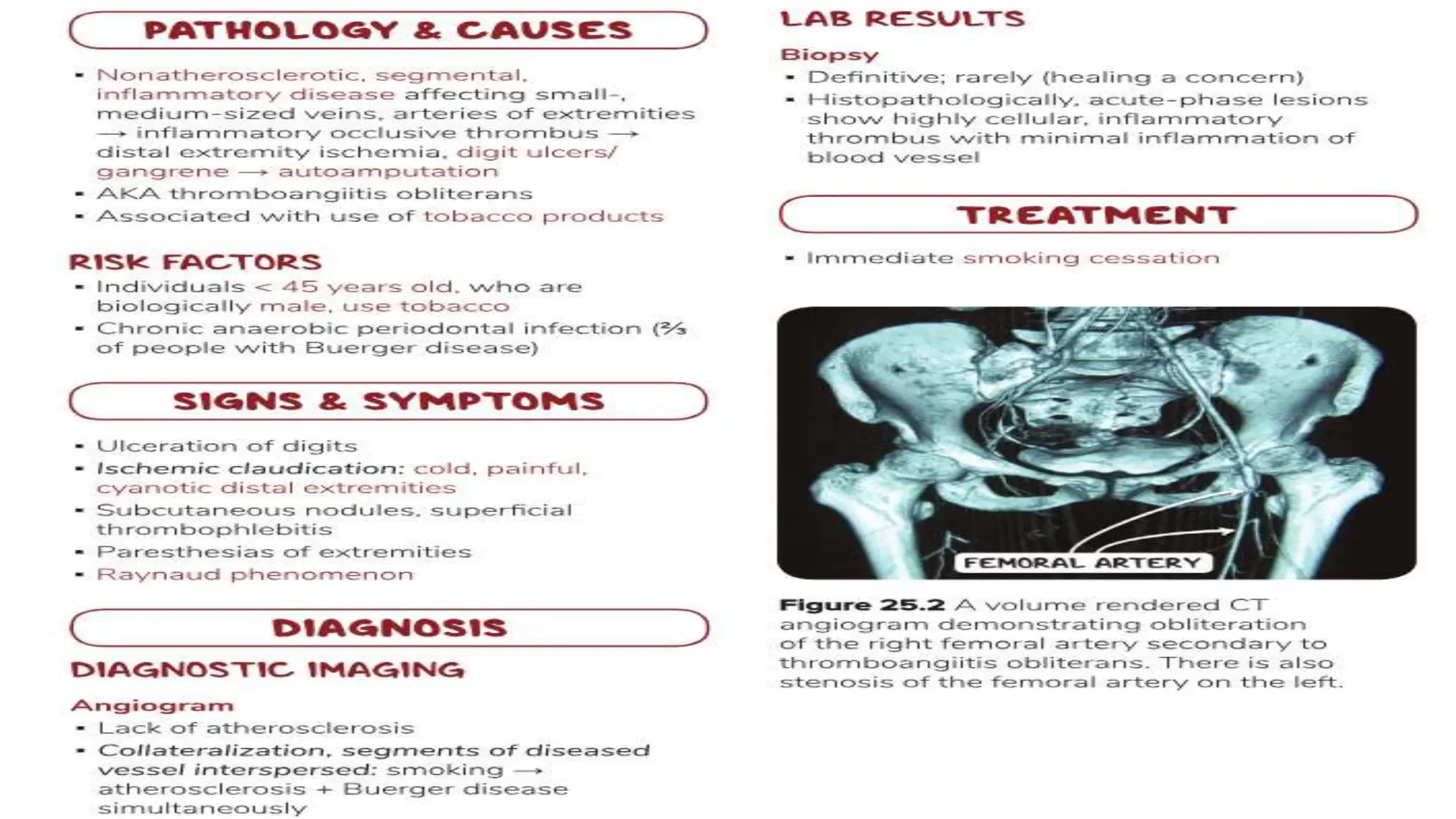 VASCULITIS.pptx