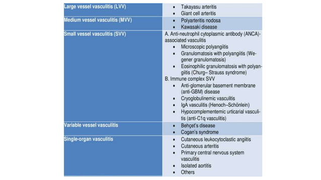 vasculitis syndromes in rheumatology.pptx