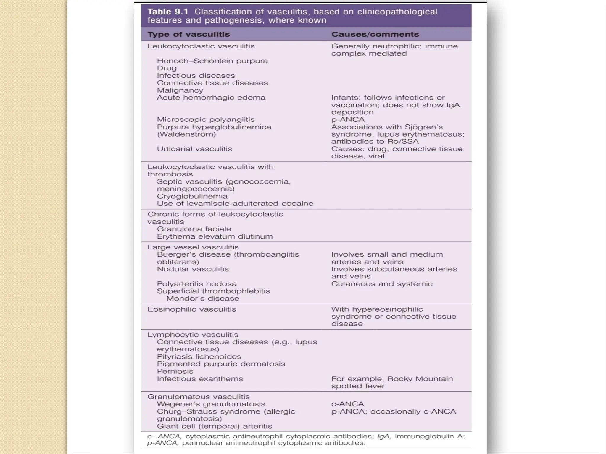VASCULITIS.pptx different types of vasculitis | PPT