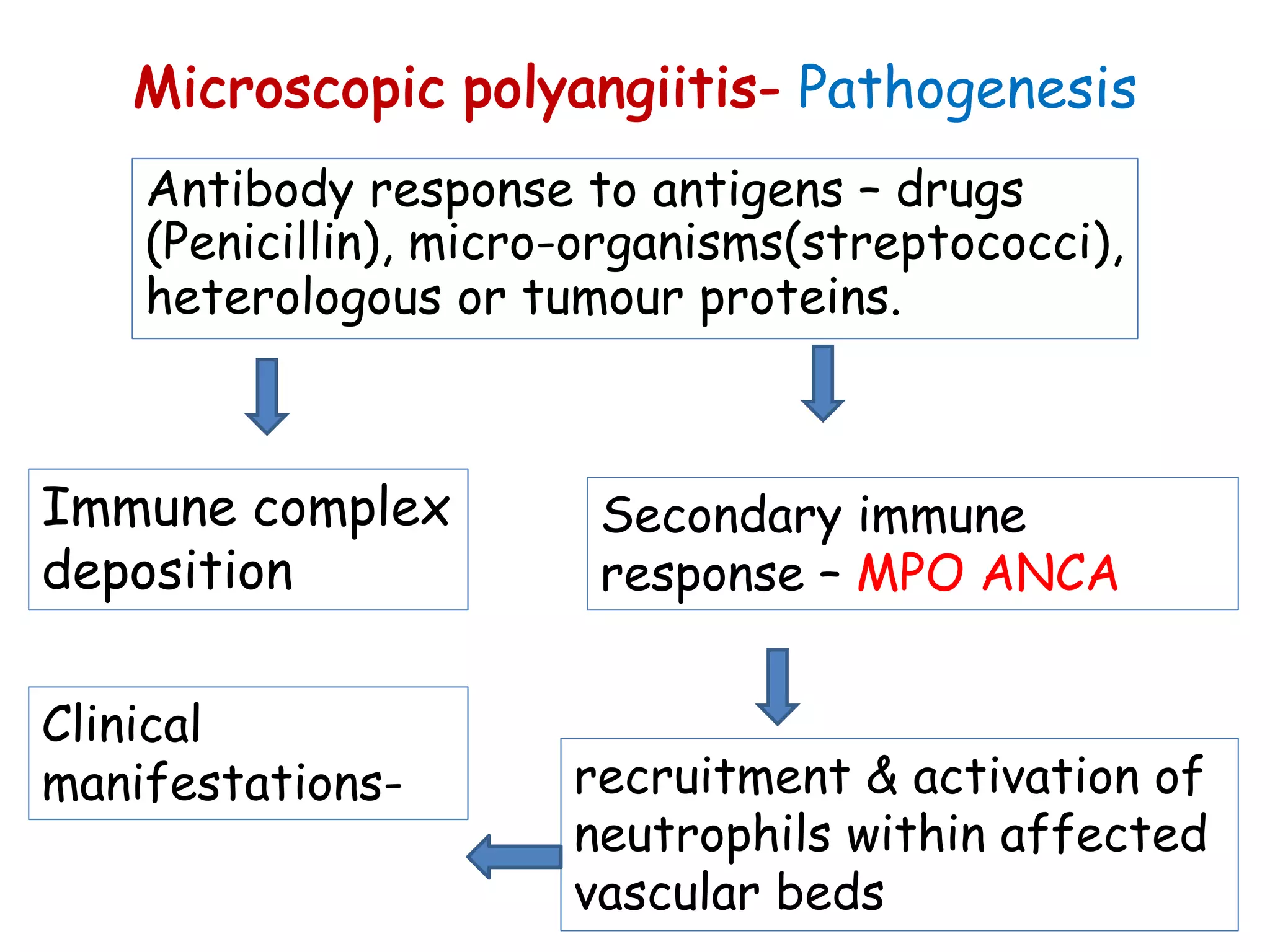 Vasculitis pathology | PDF