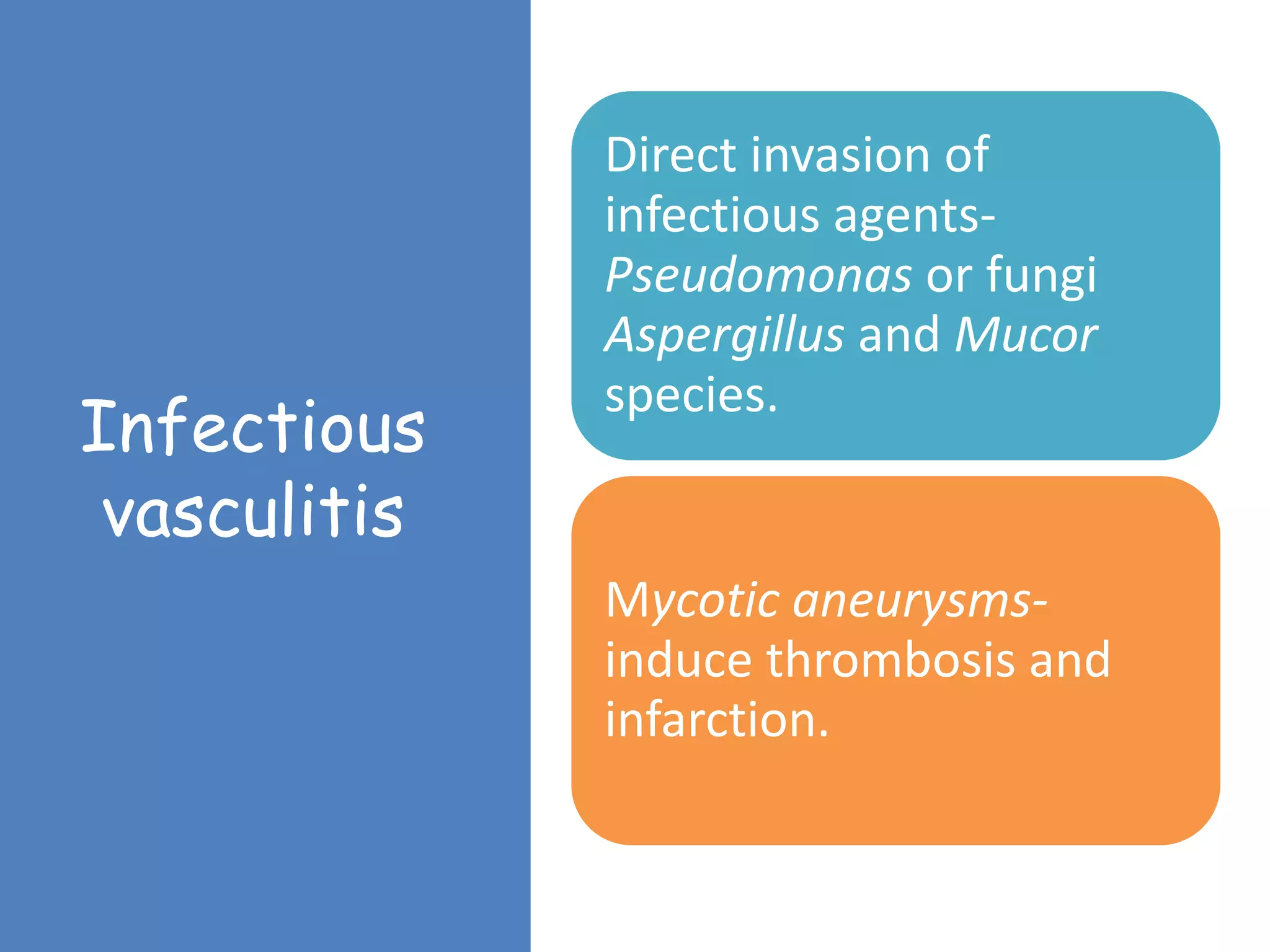 Vasculitis pathology | PDF