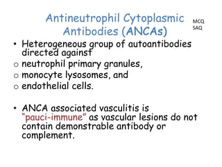Vasculitis pathology | PDF