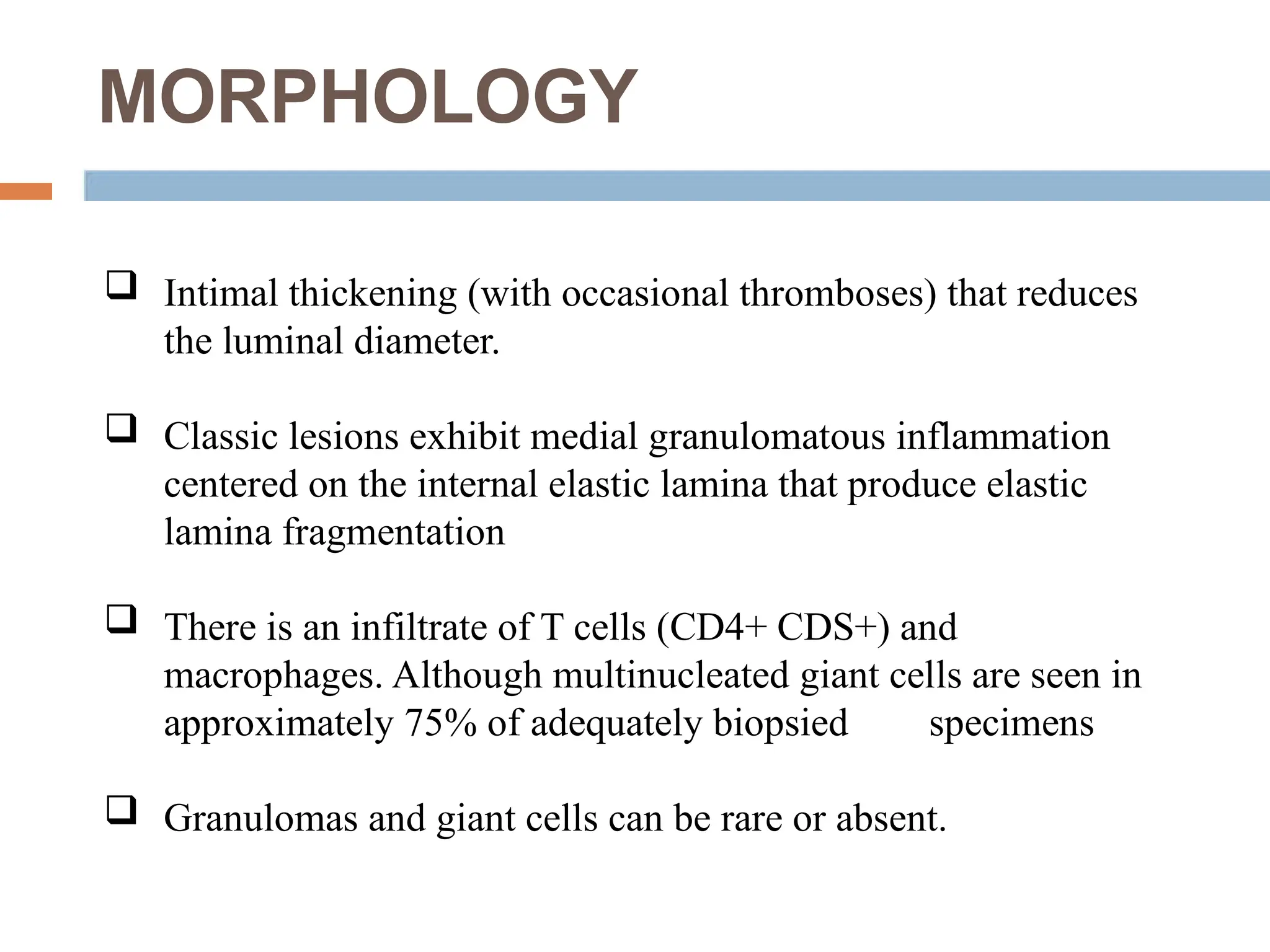 vasculitis blood vessel pathology imp pdf | PPT