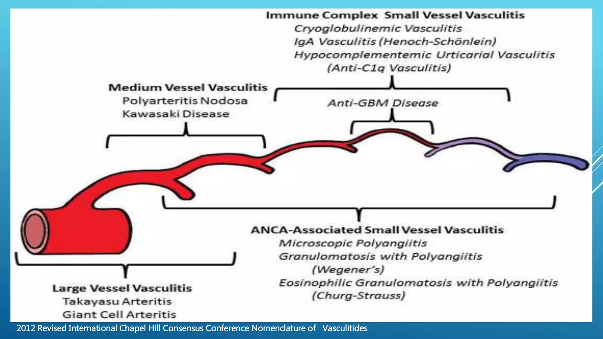 Vasculitis y riñon | PPT
