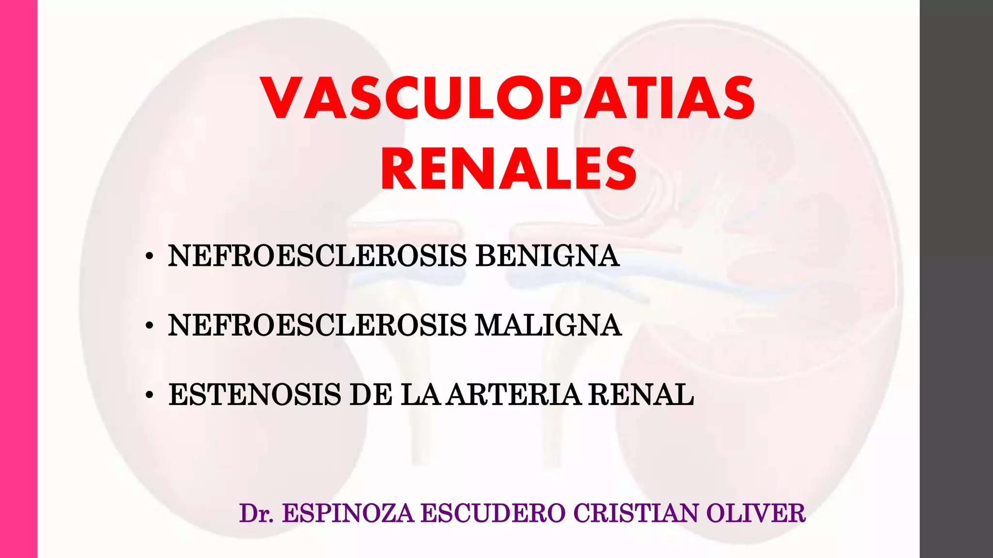 Vasculopatias renales | PPT