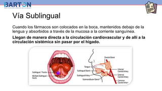 vias de administracion en inyectables de manera basica | PPTX