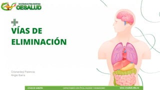 VÍAS DE ELIMINACIÓN EN EL SER HUMANO PPT | PPTX