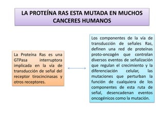 Vías de señalización que intervienen en el desarrollo | PPTX