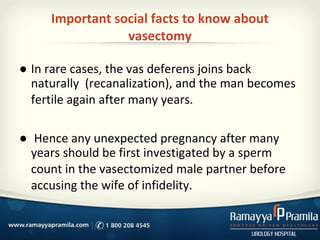 Vasectomy | PDF