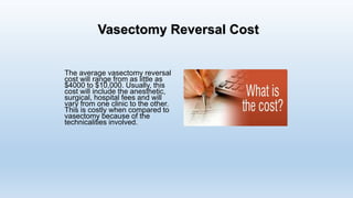 Vasectomy reversal The Basic You Should Know | PPTX