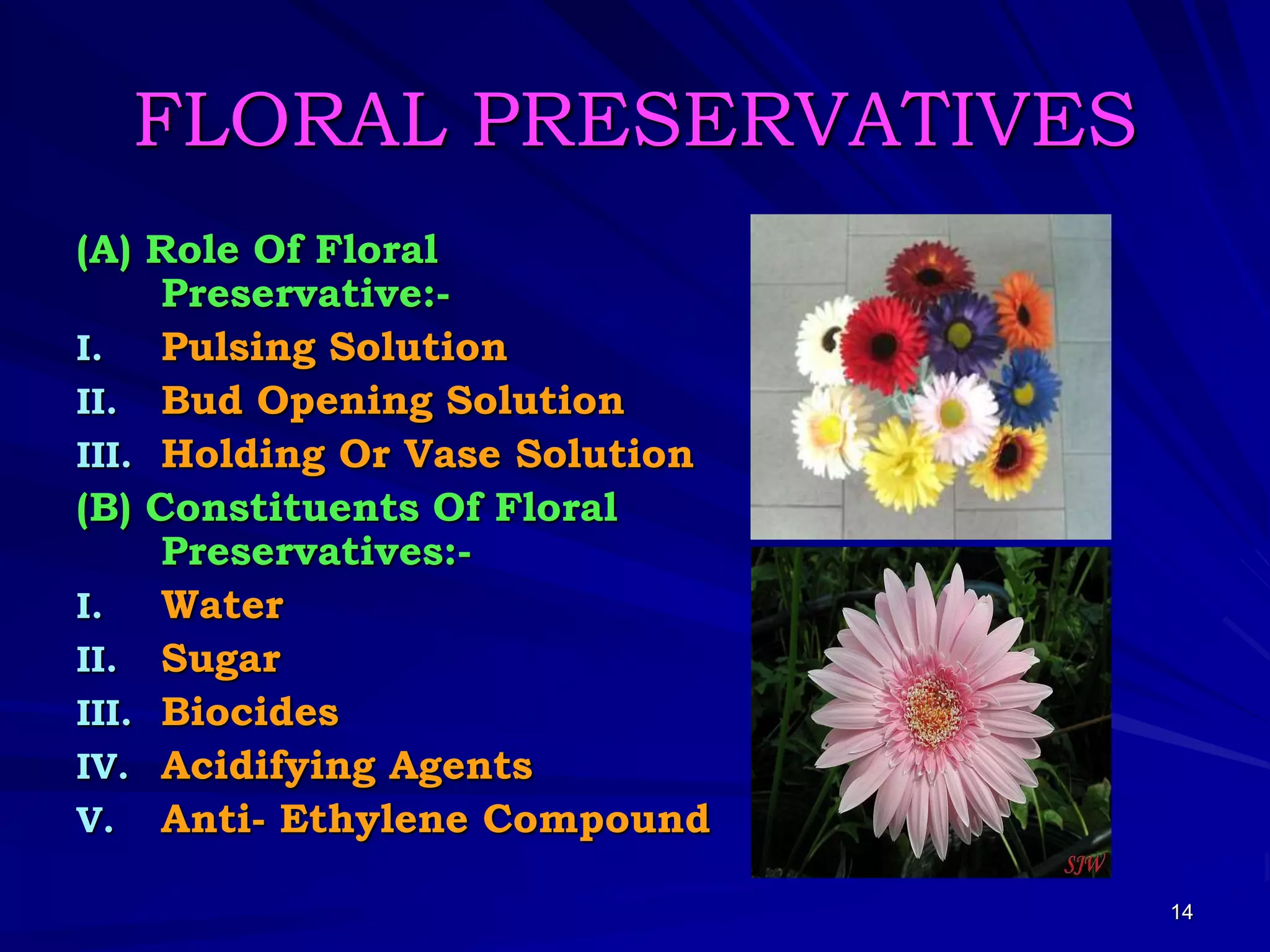 Vaselife Gerbera & Carnation | PPT