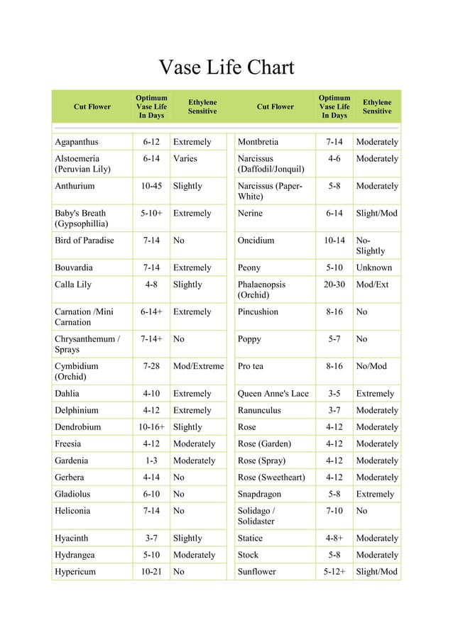 Vase Life Chart - Cut Flowers | PDF | Gardening | Home & Garden