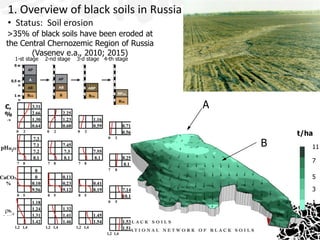 Status of Black Soils in the Russian Federation | PDF | Agriculture ...