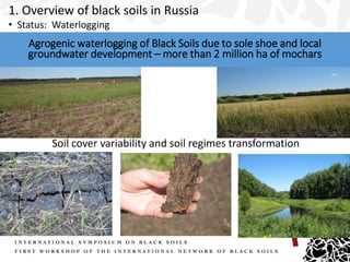 Status of Black Soils in the Russian Federation | PDF | Agriculture ...