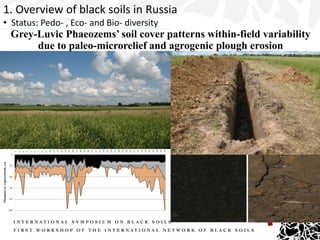 Status of Black Soils in the Russian Federation | PDF | Agriculture ...