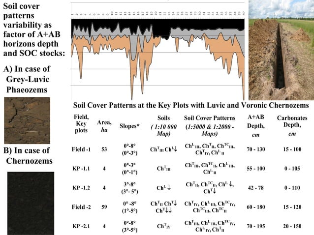 Status of Black Soils in the Russian Federation | PDF | Agriculture ...