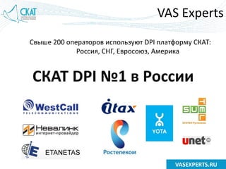 DPI Vas Experts Linkmeup | PPTX