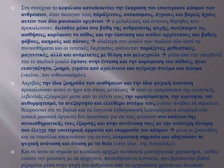 Βασίλης ο Αρβανίτης - Στρατής Μυριβήλης | PPTX