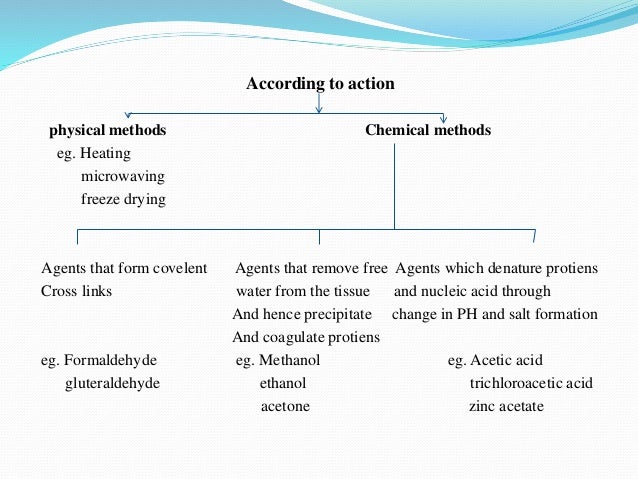 fixation and decalcification