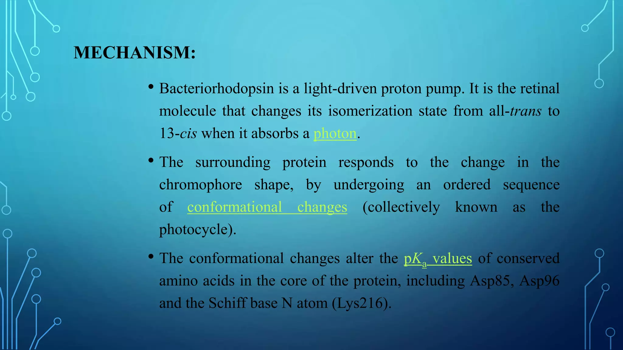 BACTERIAL RHODOPSIN. | PPTX