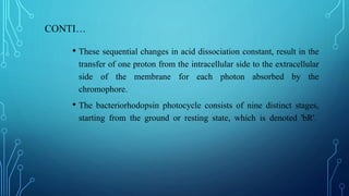 BACTERIAL RHODOPSIN. | PPTX