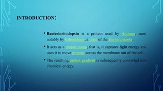 BACTERIAL RHODOPSIN. | PPTX