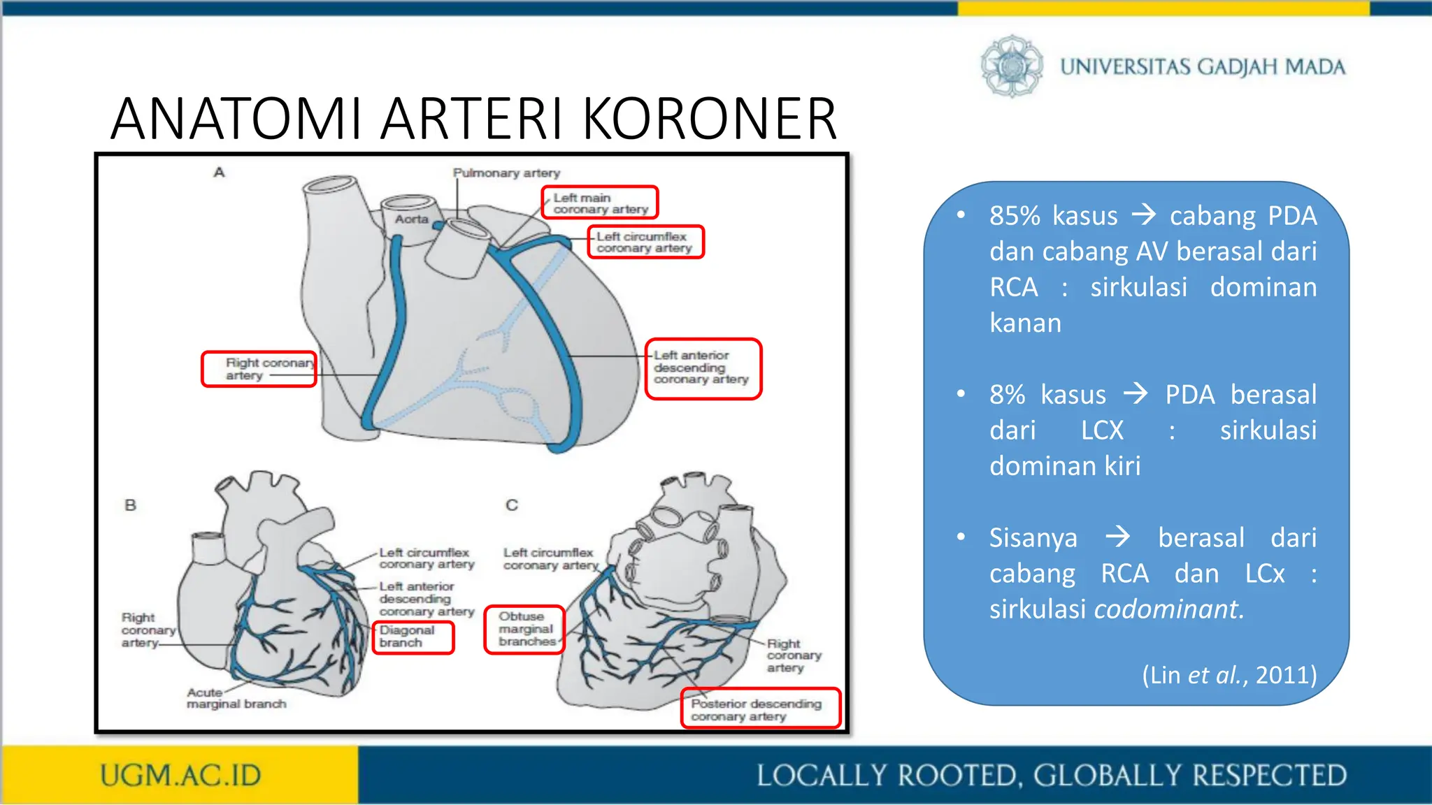 Vaskularisasi sistem konduksi jantung.pdf