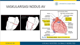 Vaskularisasi sistem konduksi jantung.pdf
