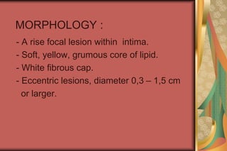 VASKULAR PATOLOGIE 2023 Macroscopic and microscopic.ppt
