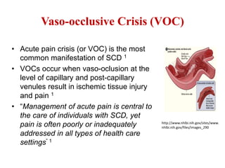 Vaso-occlusive Crisis.pptx