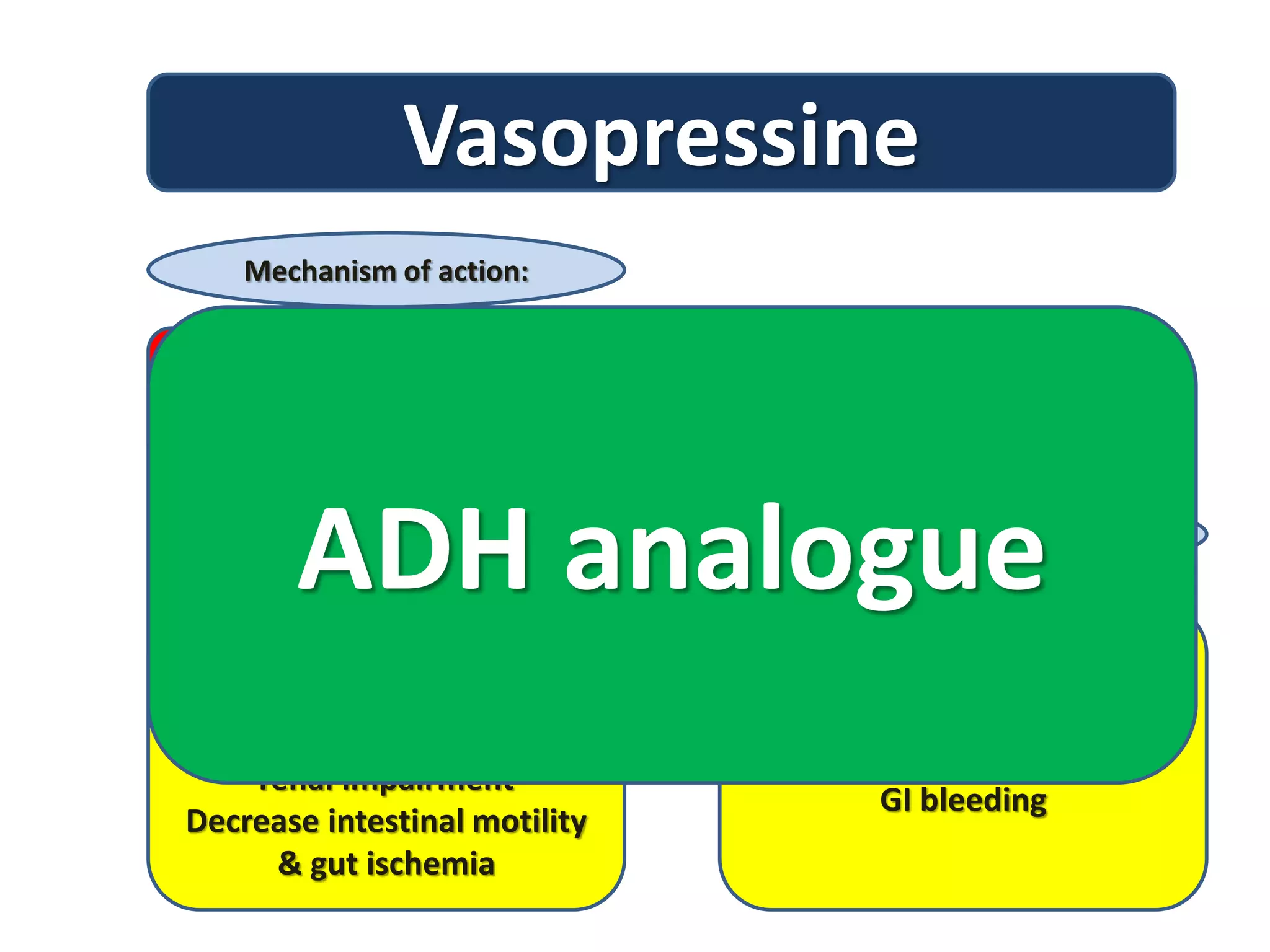 Vasoactive drugs | PPTX