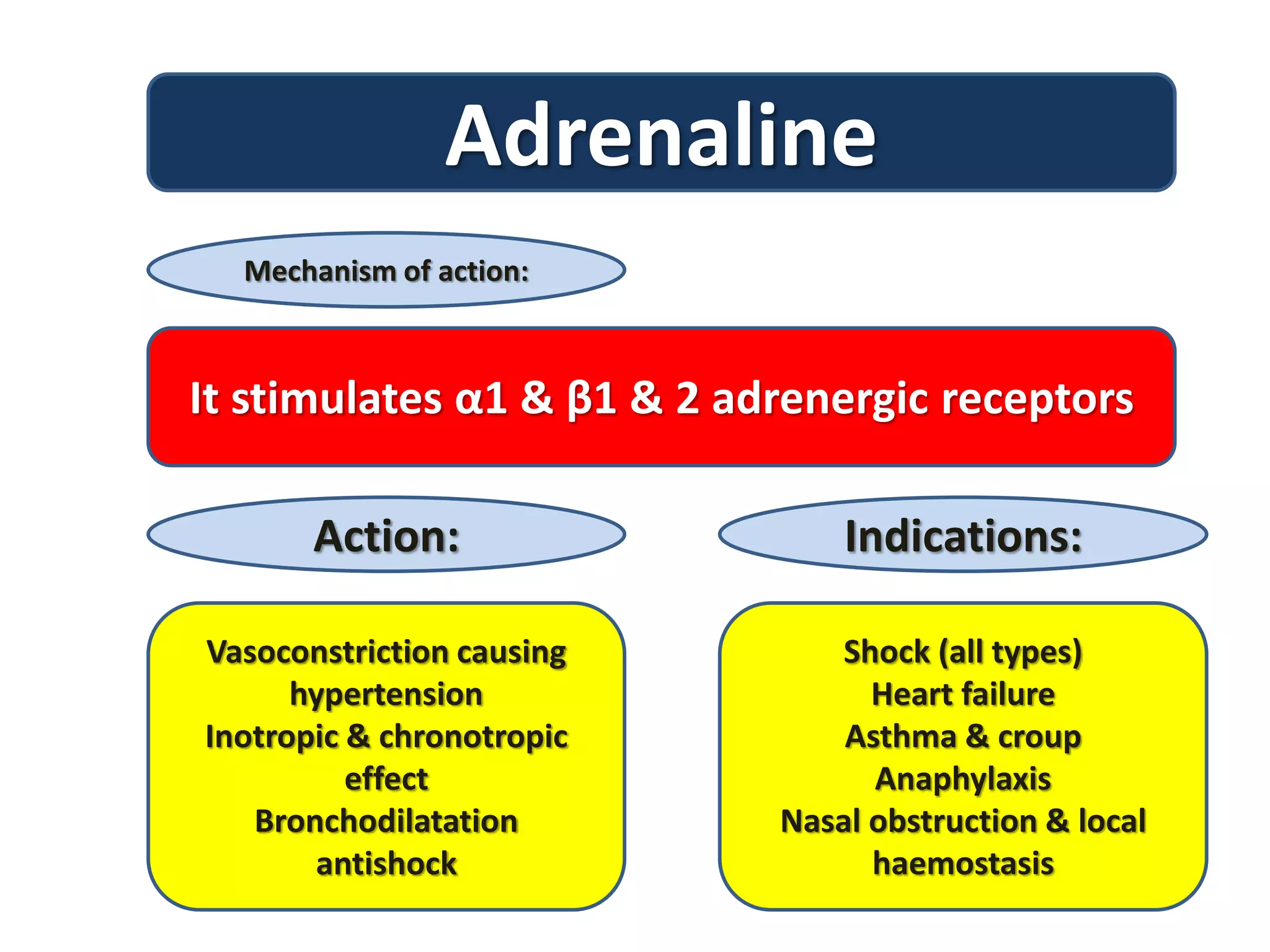 Vasoactive drugs | PPTX
