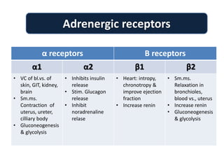 Vasoactive drugs | PPTX | Heart and Cardiovascular Diseases | Diseases ...
