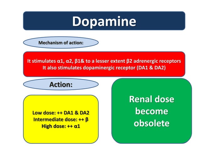 Vasoactive drugs | PPTX | Heart and Cardiovascular Diseases | Diseases ...